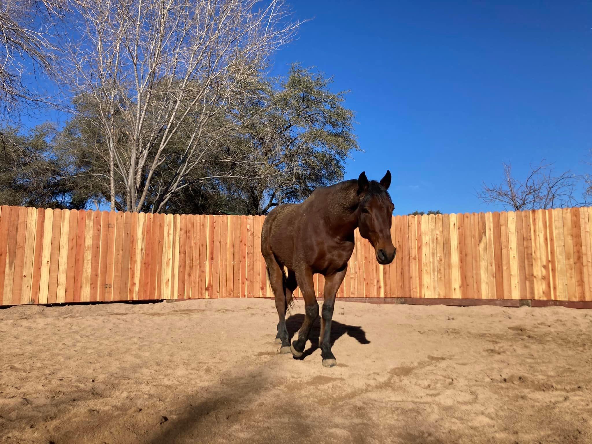 Facilities Tour – Granite Mountain Stables