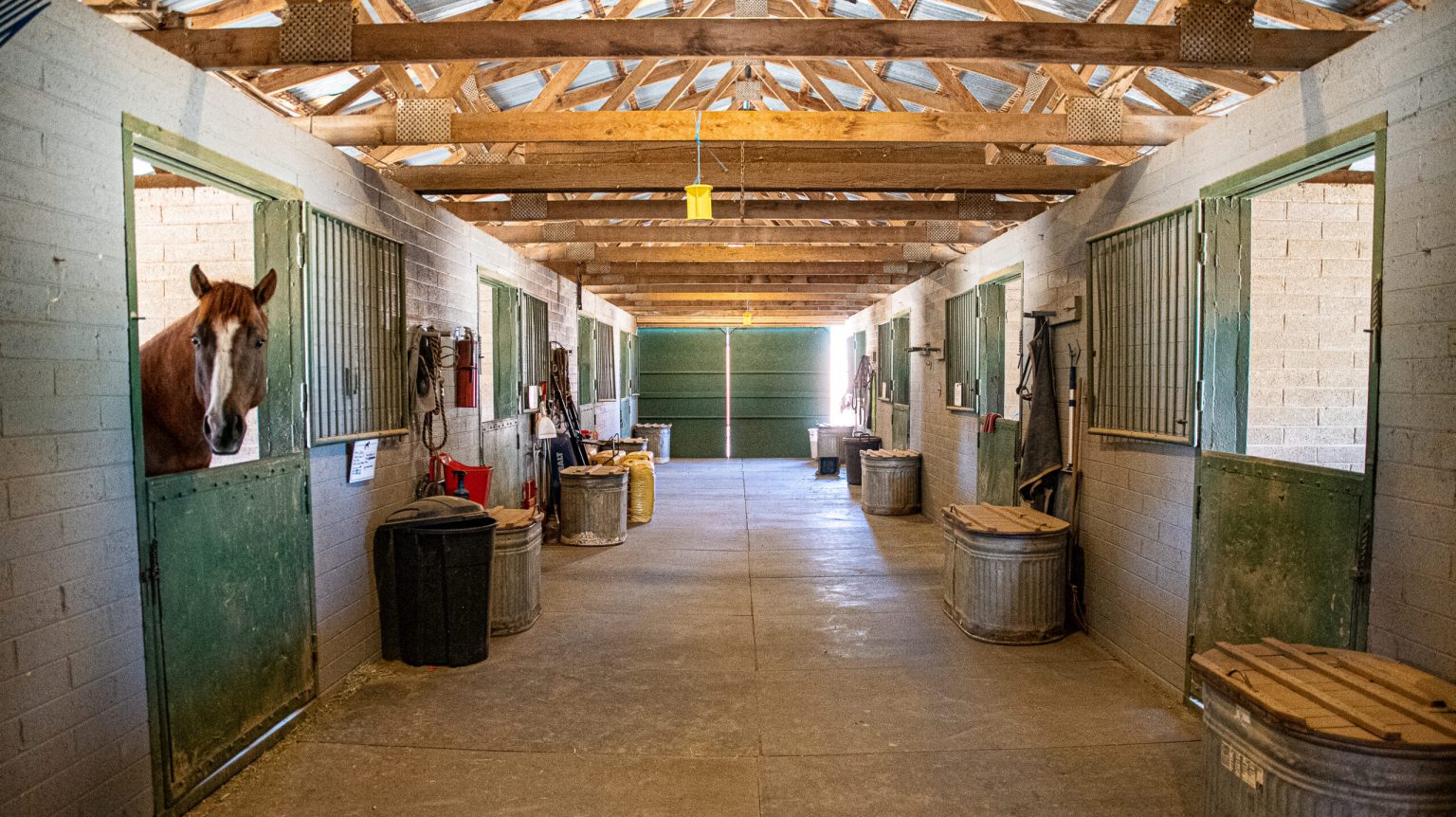 Services – Granite Mountain Stables