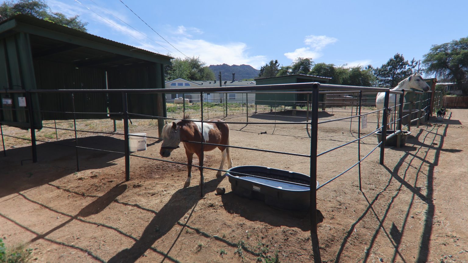 Services – Granite Mountain Stables